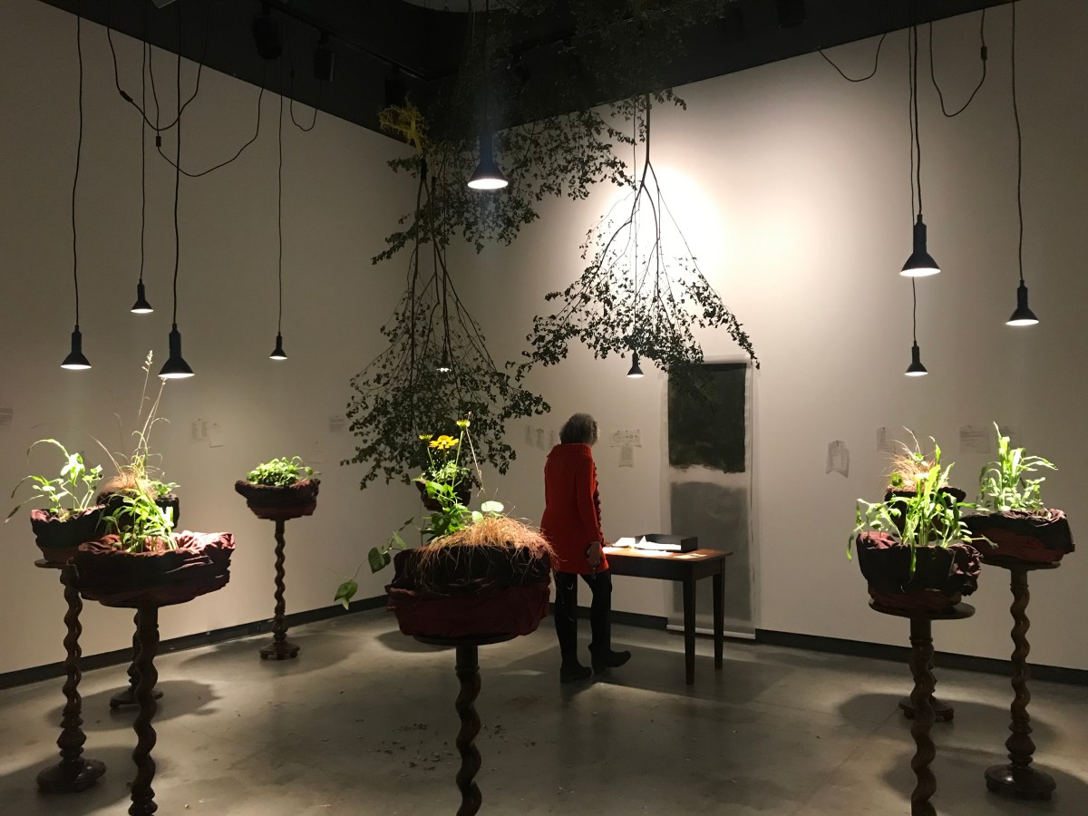 Native Range – Jennifer Borders